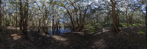 Redhead Lagoon Panorama Cities