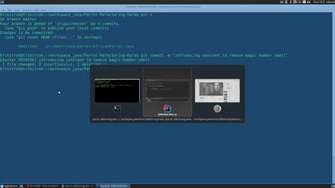 Parrot Refactoring Kata Youtube
