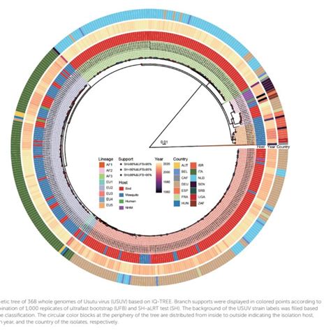 Heatmap Of Mean Relative Synonymous Codon Usage RSCU Values Among The