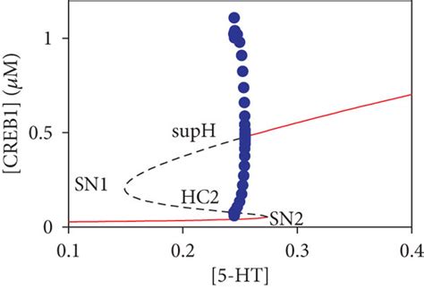 Bifurcation Diagrams Of Creb1 Versus 5 Ht At Twelve Values Of V2 Download Scientific