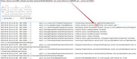 关于idea与jar包启动项目添加环境变量参数注意点 Java小白的搬砖路 博客园
