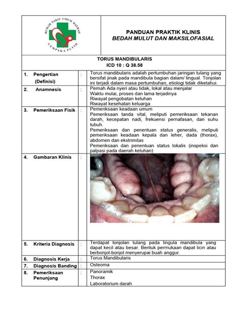 3 12 Torus Mandibularis Pdf