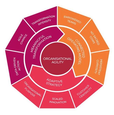 Mastering The Operating Model The Key To Agile Transformation Success Senaryo