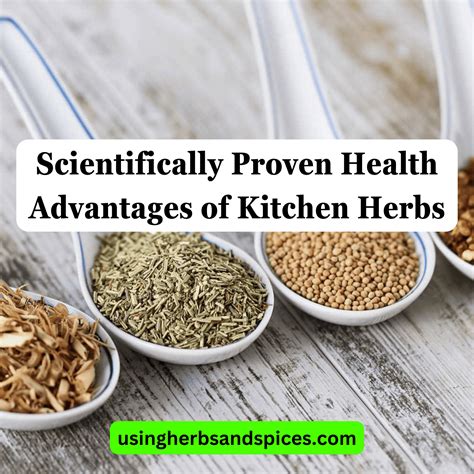 Scientifically Proven Health Advantages Of Kitchen Herbs Using Herbs