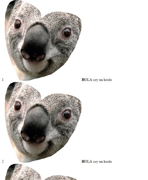 Bases De Datos Ciclo For Javascript Para Principiantes Súper Sencillo