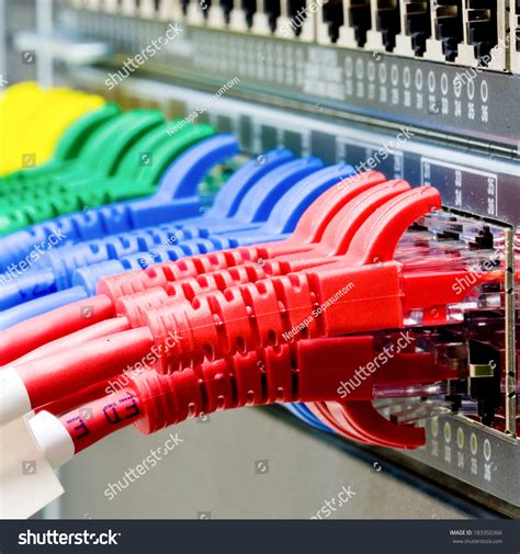 Network Switch Utp Ethernet Cables Stock Photo Shutterstock