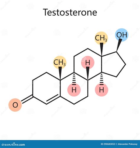 Testosterone Male Sex Hormone Androgen Molecule Skeletal Formula