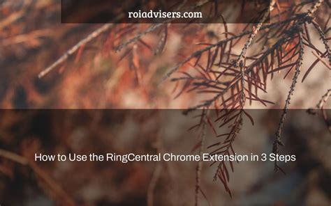 How To Use The Ringcentral Chrome Extension In 3 Steps Roi Advisers