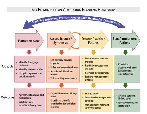 Nps Action Plan Template