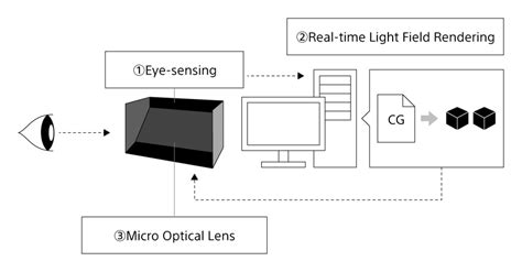 light field rendering software shelly lighting