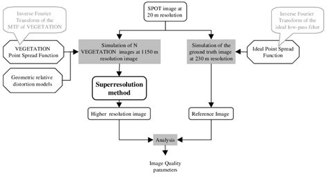 Flowchart Of The Evaluation Process Download Scientific Diagram