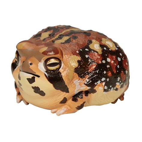 Breviceps Adspersus Special Edition Herpinges