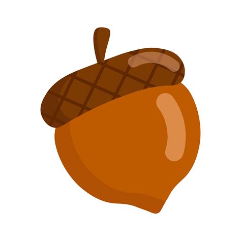 Acorn Cartoon