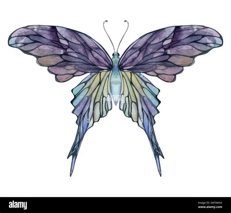 Hand Drawn Watercolor Illustration Butterfly Fairy Wings Gem Crystal
