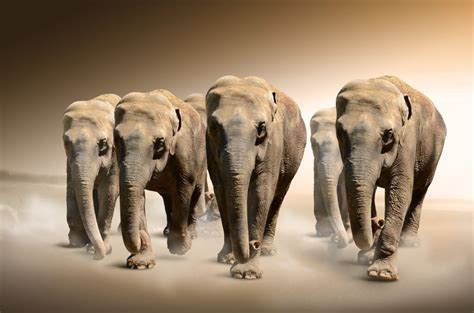 Minervadb On Linkedin How Long Checkpoint Queues Influence Postgresql Recovery And Performance