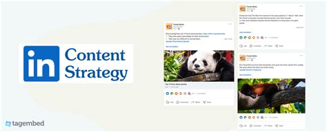 Linkedin Content Strategy Tips To Boost Engagement And Growth