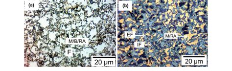 Microstructure Of A 019c 161mn 035si 110al 009p Wt Pct Steel