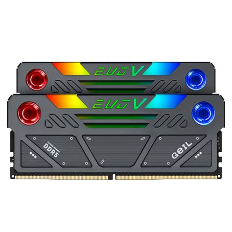 Geil Ddr5 8000 Cl38 Evo V Rgb Gray 패키지 32gb 16gx2 샵다나와