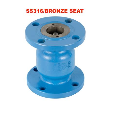 Ansi 3in 4in 150lb Spring Hydraulic Cast Iron Flange Silent Check Valve Cast Iron Check Valve