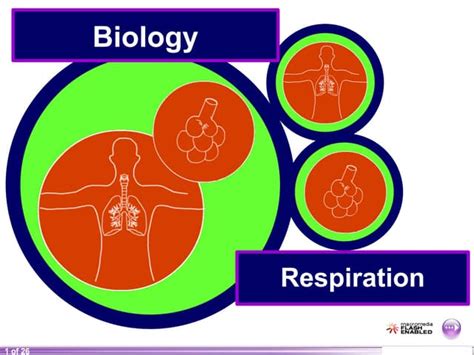 Classification Three Domain System Pdf