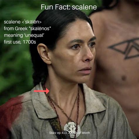 Fun Fact Scalene Outlander Anatomy