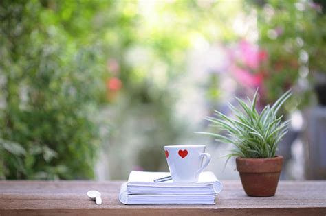 빨간 마음과 숟가락과 작은 식물 냄비와 나무 테이블에 책 흰색 컵 꽃 나무에 대한 스톡 사진 및 기타 이미지 꽃 나무 꽃 식물 꽃잎 Istock