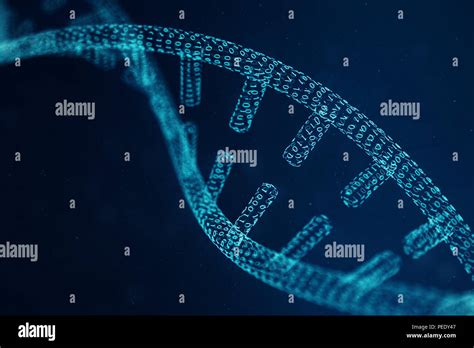 Digital Dna Molecule Structure Concept Binary Code Human Genome Dna