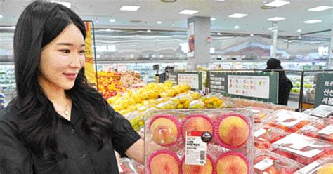 Ai 과일선별 장점은 ‘빠른 품위 파악보편화 여부는 ‘미지수