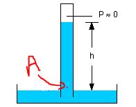 Answered Define Static Dynamic And Hydrostatic Bartleby