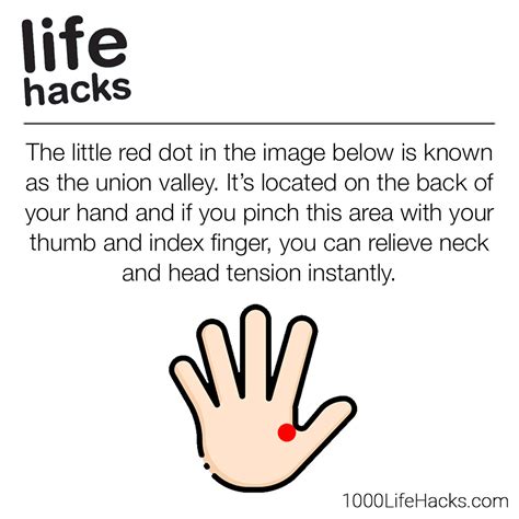 Life Hacks