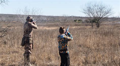 SOUTH TEXAS HUNTING OUTFITTERS Quail Hunting