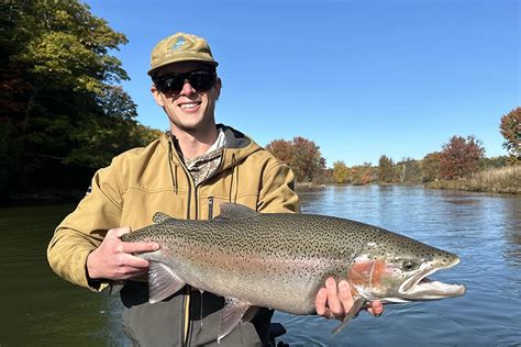 Michigan Steelhead Report Hawkins Outfitters