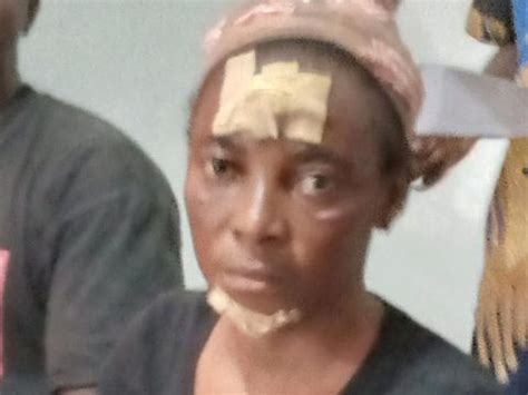Landlady Terrorized In Property Battle Politico Sl