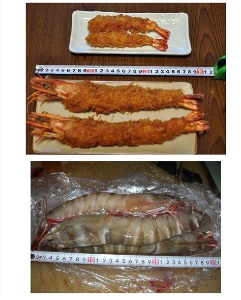 한국에서는 보기힘든 일본 왕 새우 튀김 인스티즈instiz 이슈 카테고리