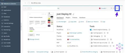 How To Fix The ERR TOO MANY REDIRECTS On Plesk