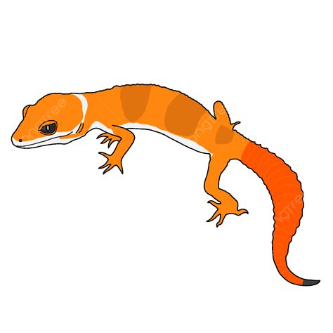 슈퍼 하이 탠저린 레오파드 게코 모프 표범 도마뱀 붙이 도마뱀붙이 도마뱀 붙이 Png 일러스트 및 Psd 이미지 무료 다운로드 Pngtree