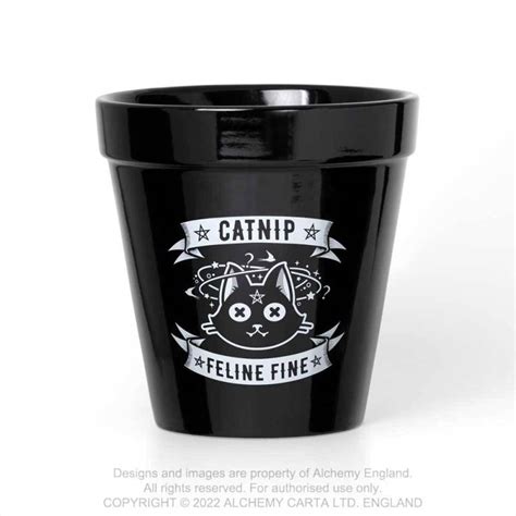 Catnip Plant Pot GPP3 Plant Pots Alchemy England