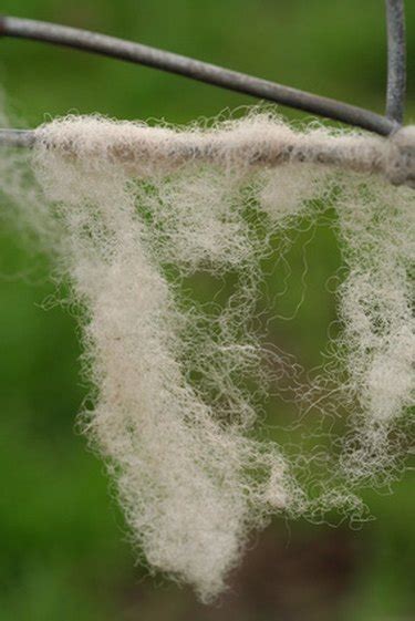 Homemade Felt From Dryer Lint Ehow