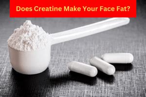 Does Creatine Make Your Face Fat Factors To Consider My Bodyweight Exercises