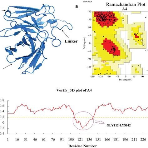 A The 3d Structure Model Of Scfv A4 By Homology Modeling B The Download Scientific Diagram
