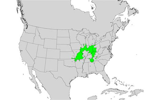 The Npgs Ash Conservation Project Maps Page
