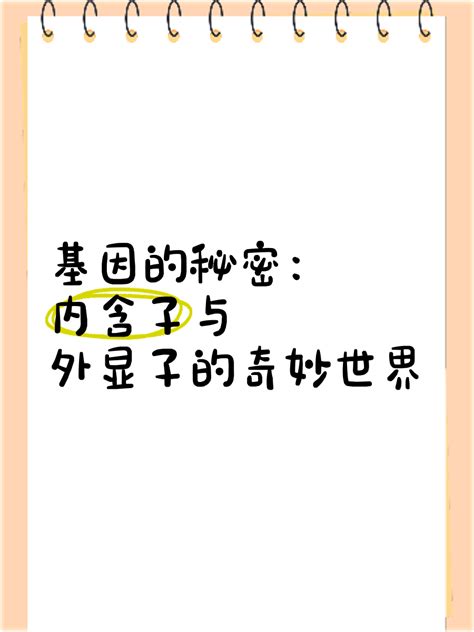 基因的秘密：内含子与外显子的奇妙世界