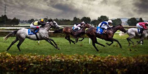 Les Paris Sportifs Par Lintermédiaire Dun Borker Lié Aux Bookmakers
