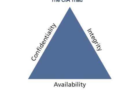 Cosc 360 Lecture 17 Flashcards Quizlet