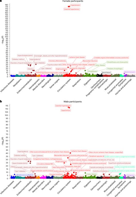 Sex Stratified Phenome Wide Association Study Of Preeclampsiaeclampsia Download Scientific