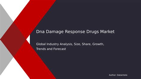 Dna Damage Response Drugs Market Report Global Forecast From 2025 To 2033
