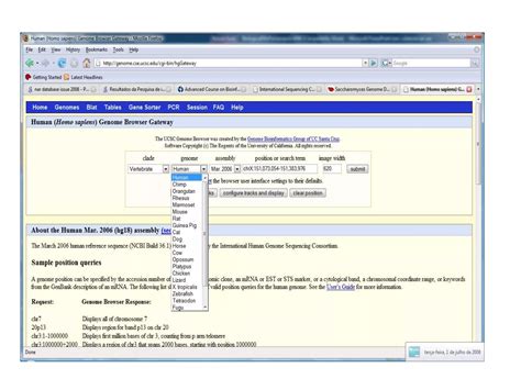 Genomic Databases Pptx