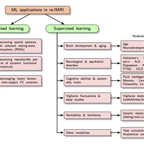 Applications Of Machine Learning Methods In Resting State Fmri