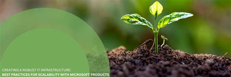 Creating A Robust It Infrastructure Best Practices For Scalability