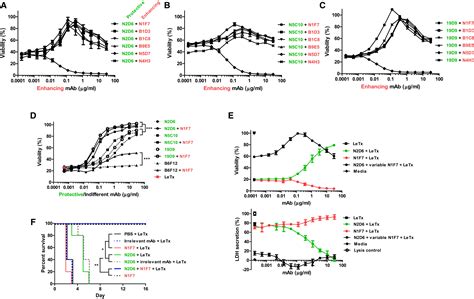 Disease Enhancing Antibodies Improve The Efficacy Of Bacterial Toxin Neutralizing Antibodies